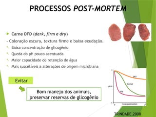 Bioquímica Pós-mortem da Carne: Transformações e Qualidade | PPTX