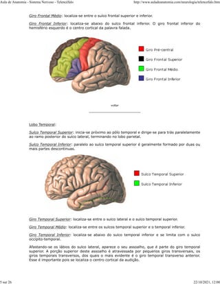anatomia sistema nervoso - telencéfalo | PDF