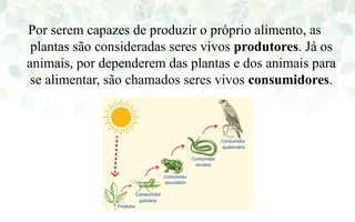 AULA DE CIÊNCIAS SOBRE ALIMENTAÇAO DOS SERES VIVOS | PPTX