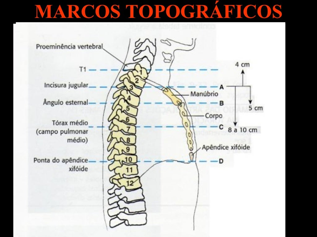 Aula de coluna cervical