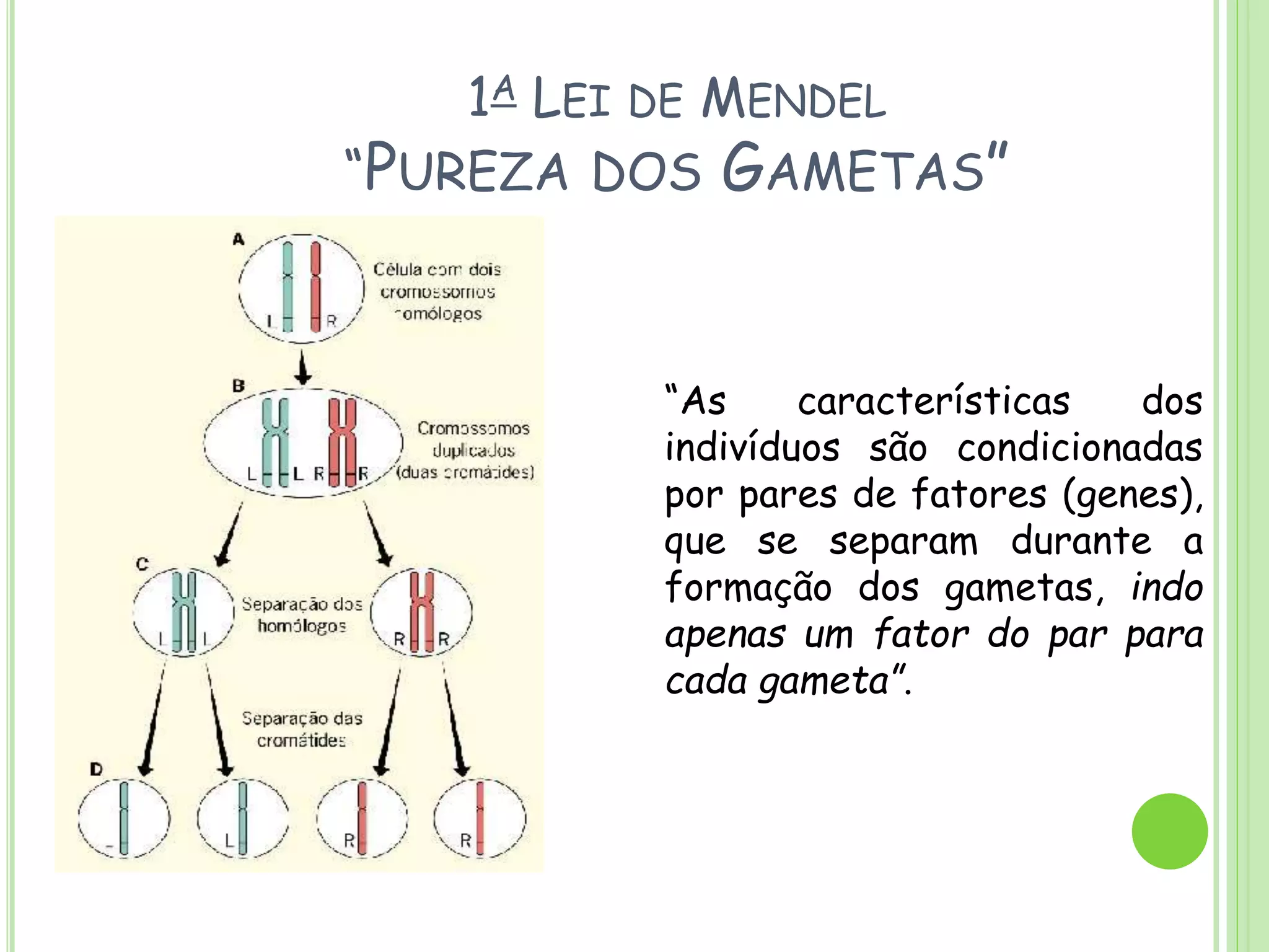 Aula de genética 1 lei de mendel | PPTX