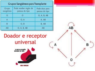 Aula de genética tipos sanguíneos e eritroblastose fetal | PPTX