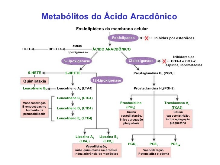 Aula de Inflamacao