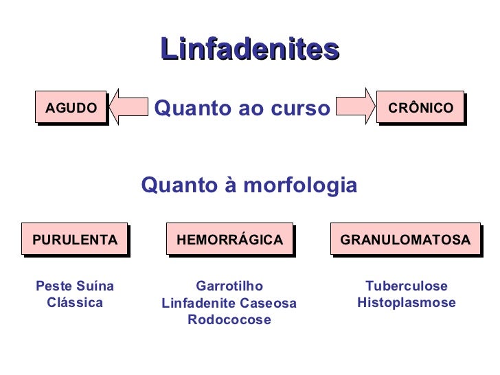 Aula de Patologia do Sistema Hemolinfático