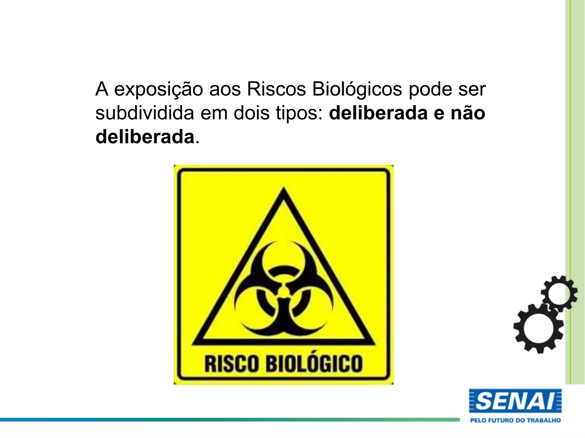 aula de riscos biologico.pptx
