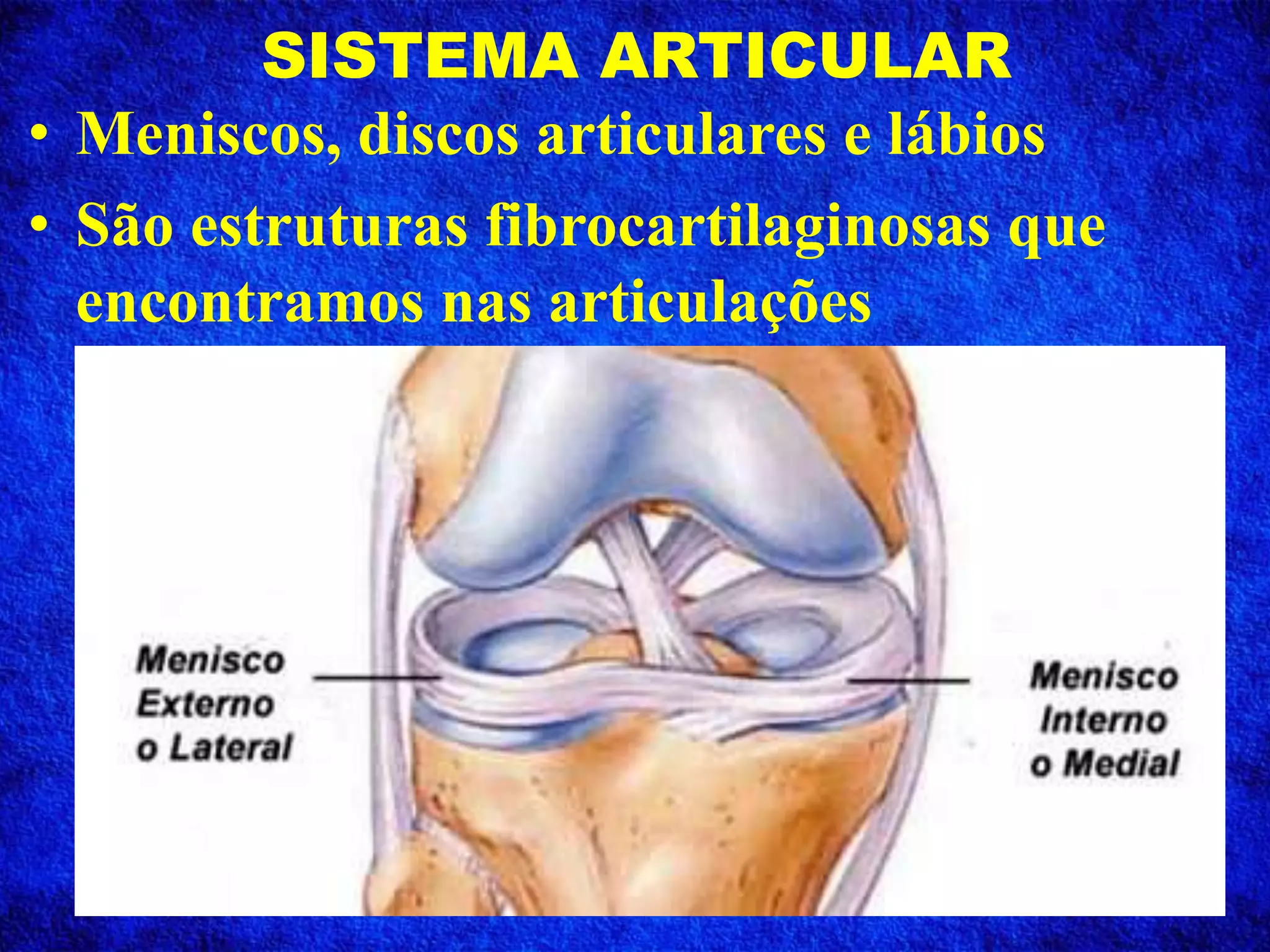Aula de sistema articular | PPTX | Bone and Joint Conditions | Diseases ...