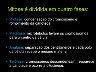 Aula divisao celular mitose e meiose | PDF