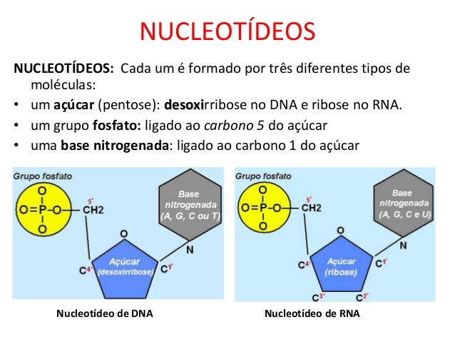 Aula dna 2015