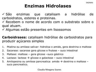 Aula enzimas. bioquímica l módulo para nutrição e dietética | PPT