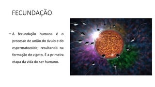 Aula sobre fecundação.pdf tecnicos de enfermagem | PDF