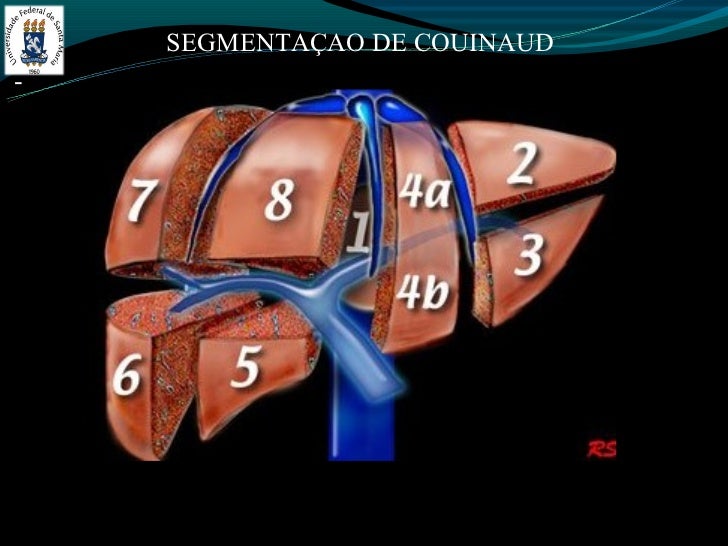 Aula figado
