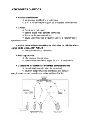 Aula fisiologia sensorial | PDF