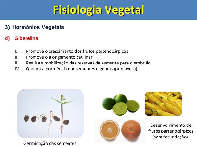 Aula fisiologia vegetal