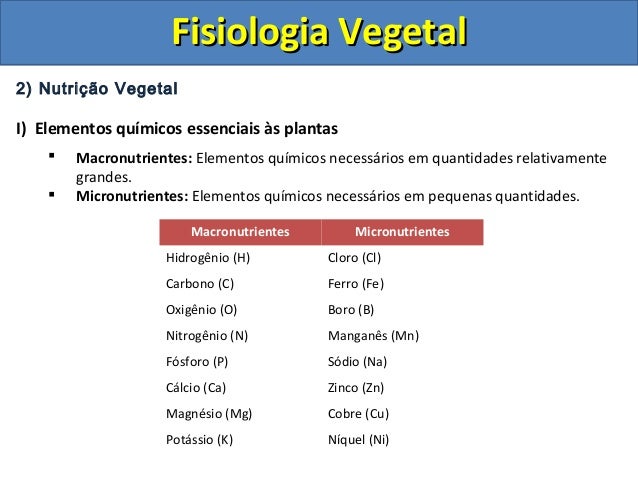 Aula fisiologia vegetal