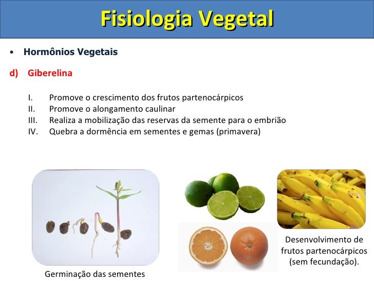 Fisiologia Vegetal