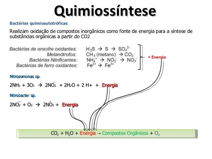 Aula fotossíntese quimiossíntese