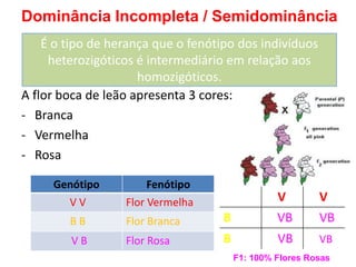 Aula Genética Heredogramas, Codominância e Dominância incompleta.ppt