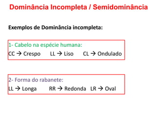 Aula Genética Heredogramas, Codominância e Dominância incompleta.ppt