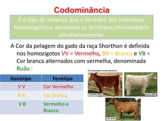 Aula Genética Heredogramas, Codominância e Dominância incompleta.ppt