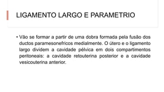 Aula Ginecologia 1.pptx