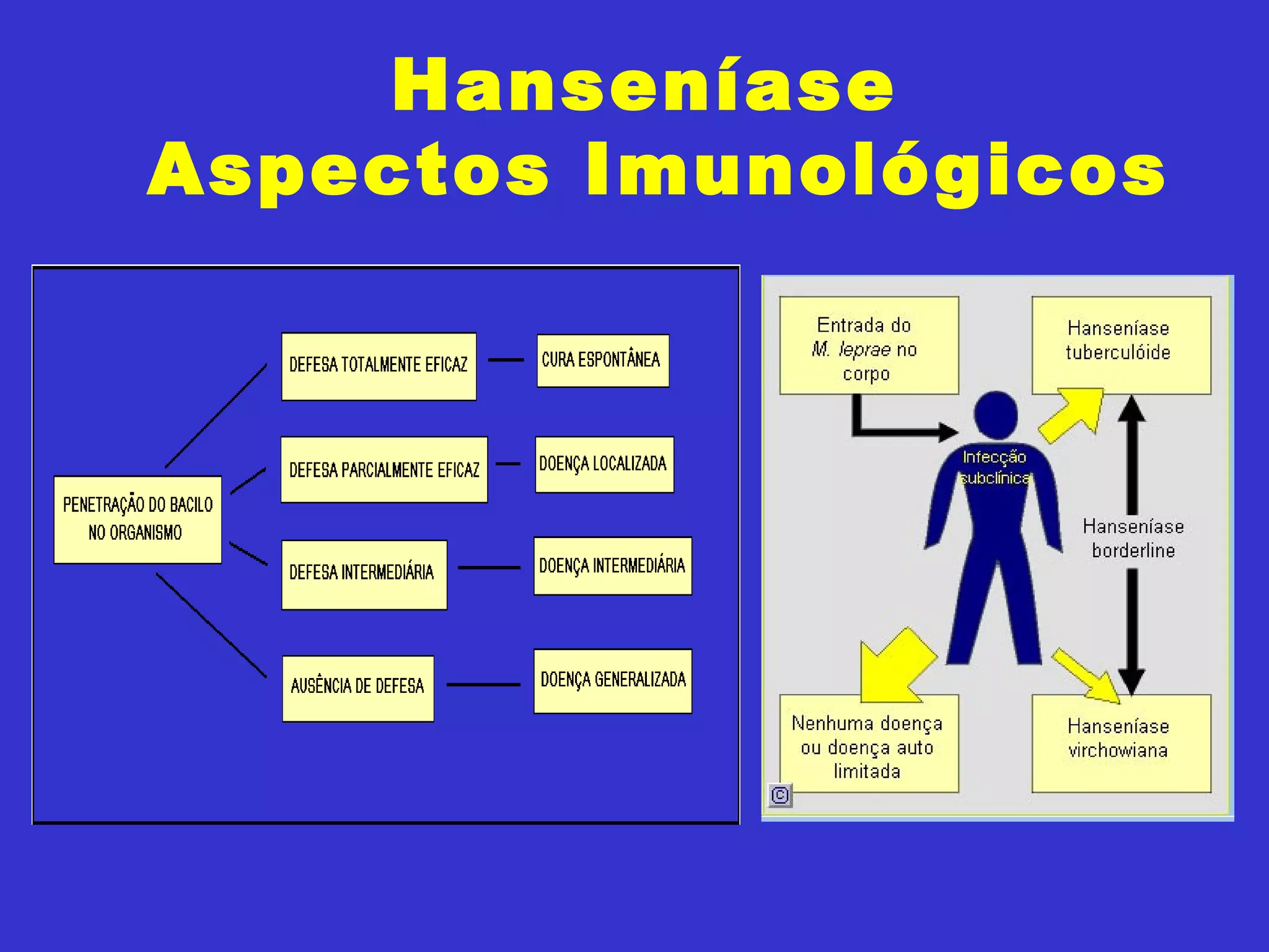 Aula Hanseníase | PPT