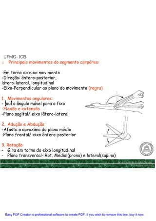 Aula Iii Generalidades Sobre ArticulaçõEs | PDF