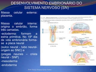 Introdução ao sistema nervoso.ppt