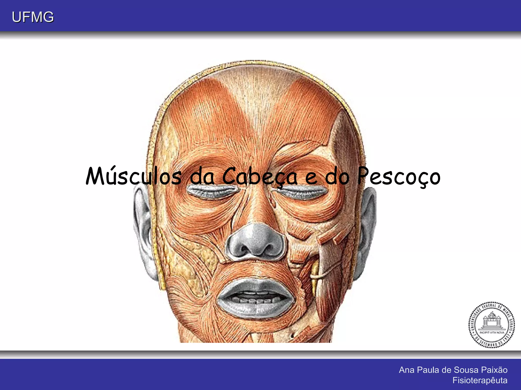 Aula ix musculos cabeça e pescoço | PPT | Download Gratuito