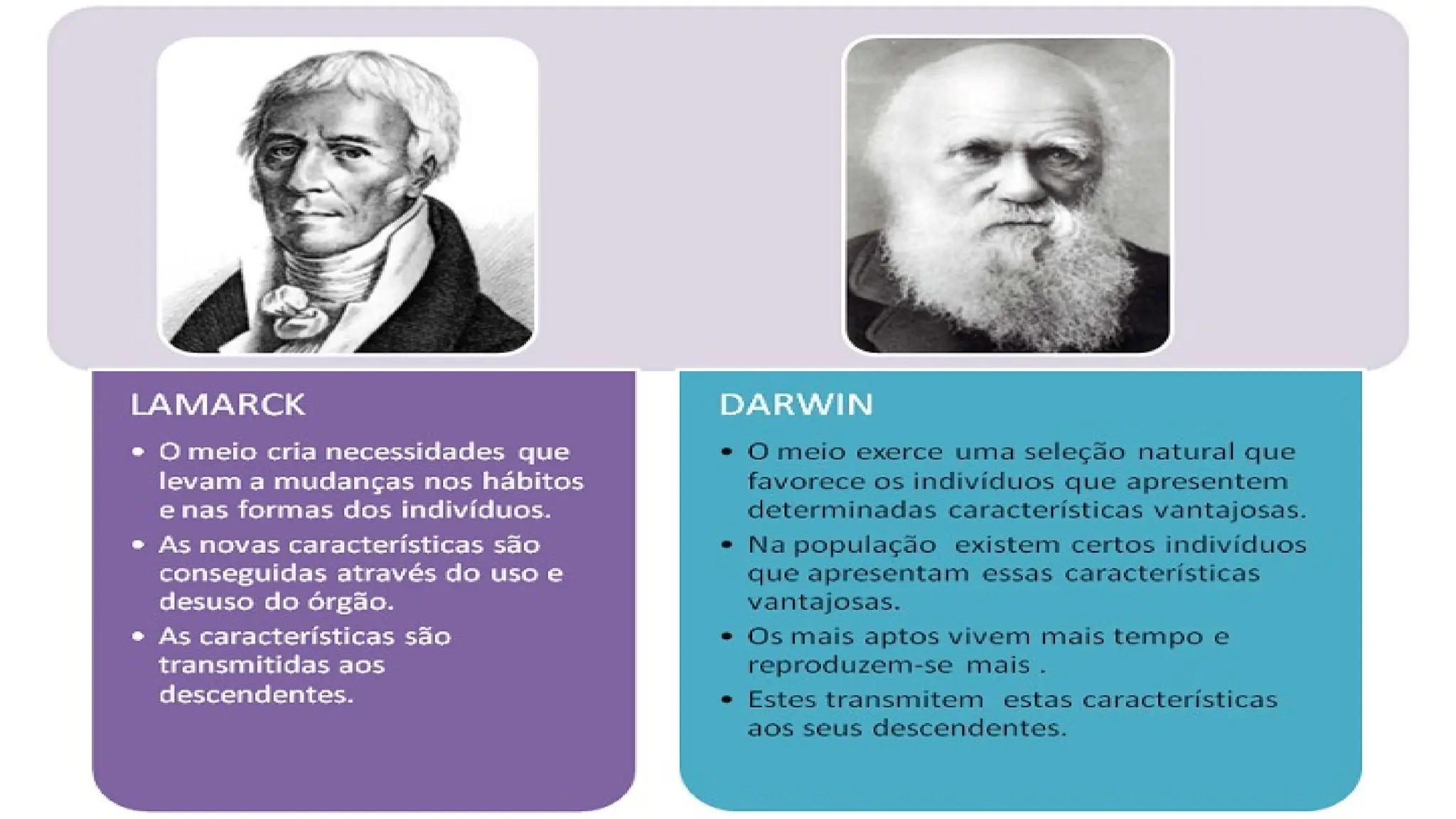 Aula lamarck e darwin - o pensamento evolucionista | PPTX