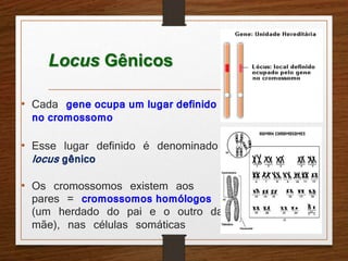 Aula lei de mendel mendelismo sandra | PPTX