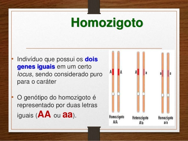 Aula lei de mendel mendelismo sandra