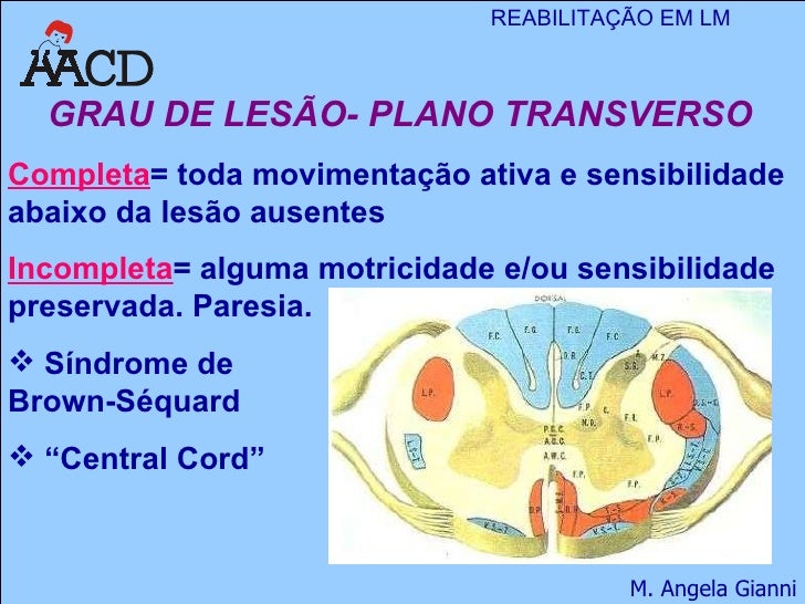 Aula Lesão Medular Aacd