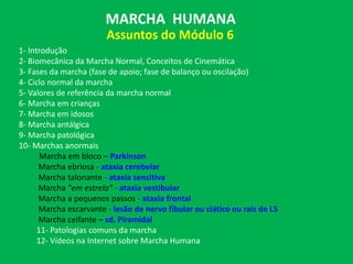 Aula Marcha.pdf
