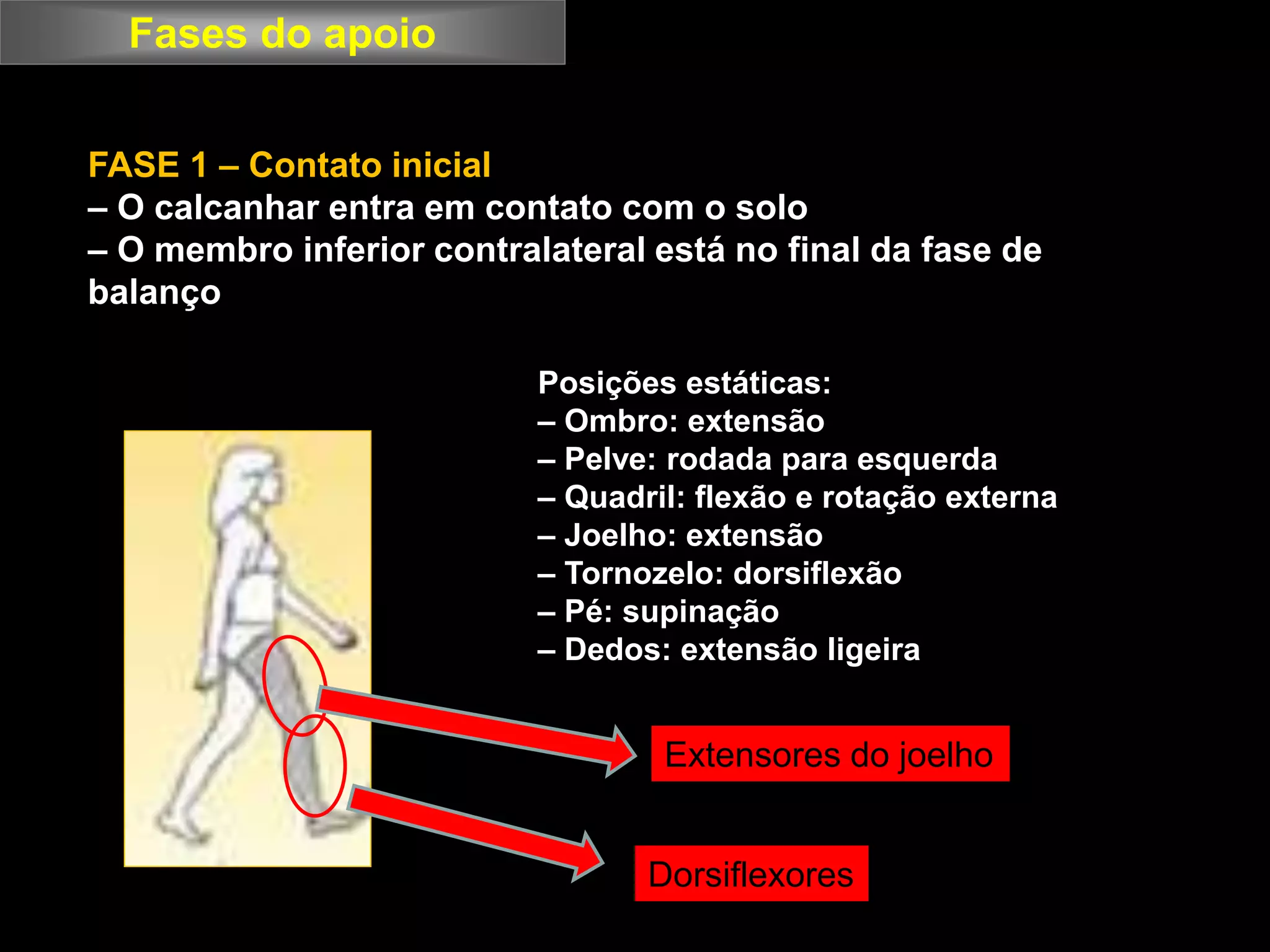Aula Marcha humana normal.ppt
