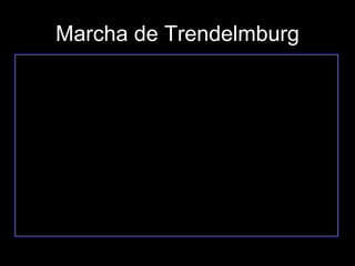 Aula Marcha humana normal.ppt