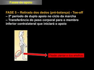 Aula Marcha humana normal.ppt