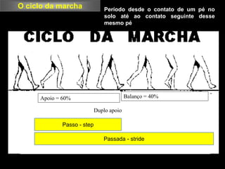 Aula Marcha humana normal.ppt