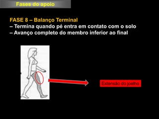 Aula Marcha humana normal.ppt