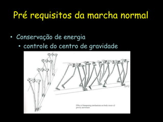 Aula Marcha humana normal.ppt