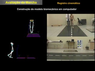 Aula Marcha humana normal.ppt