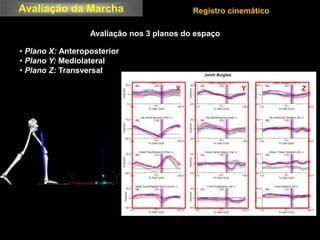 Aula Marcha humana normal.ppt