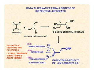 Aula_sobre_Metabolismo Secundário - Fisiologia de plantas | PDF