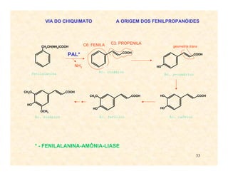 Aula_sobre_Metabolismo Secundário - Fisiologia de plantas | PDF