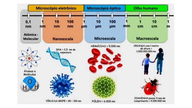 Aula microscopio.pptx