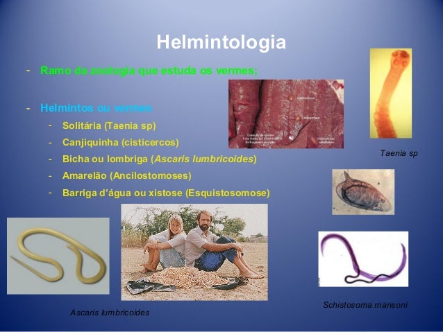 Aula n° 7 helmintos