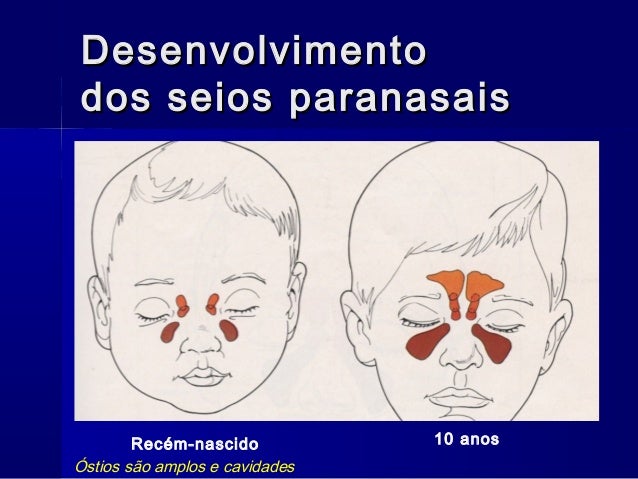 ANATOMIA FISIOLOGIA NASAL