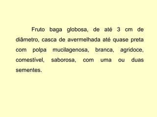 Aula Nativas do Brasil frutas naturais do pais | PPT
