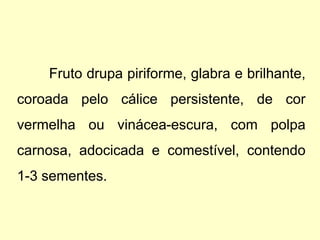 Aula Nativas do Brasil frutas naturais do pais | PPT