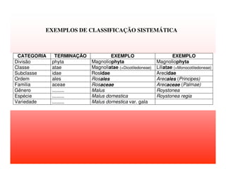 Aula nomenclatura botânica | PDF