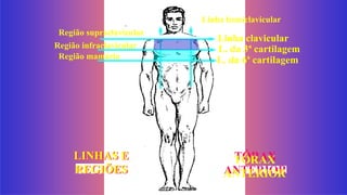 Aula Propedeutica técnico de enfermagem (1).docx